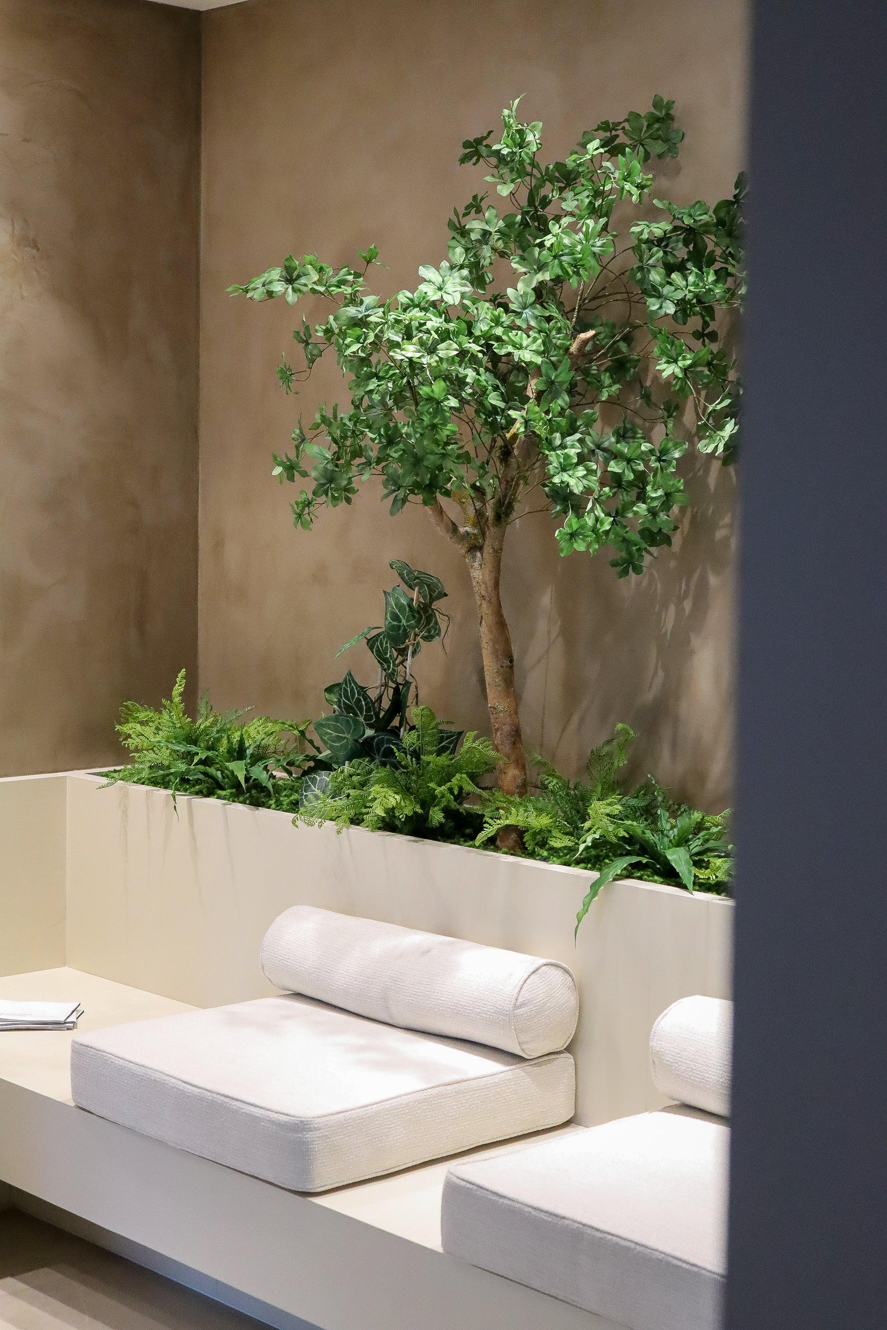 Notre cabinet - Cabinet dentaire Capellen Luxembourg – Maison Smile